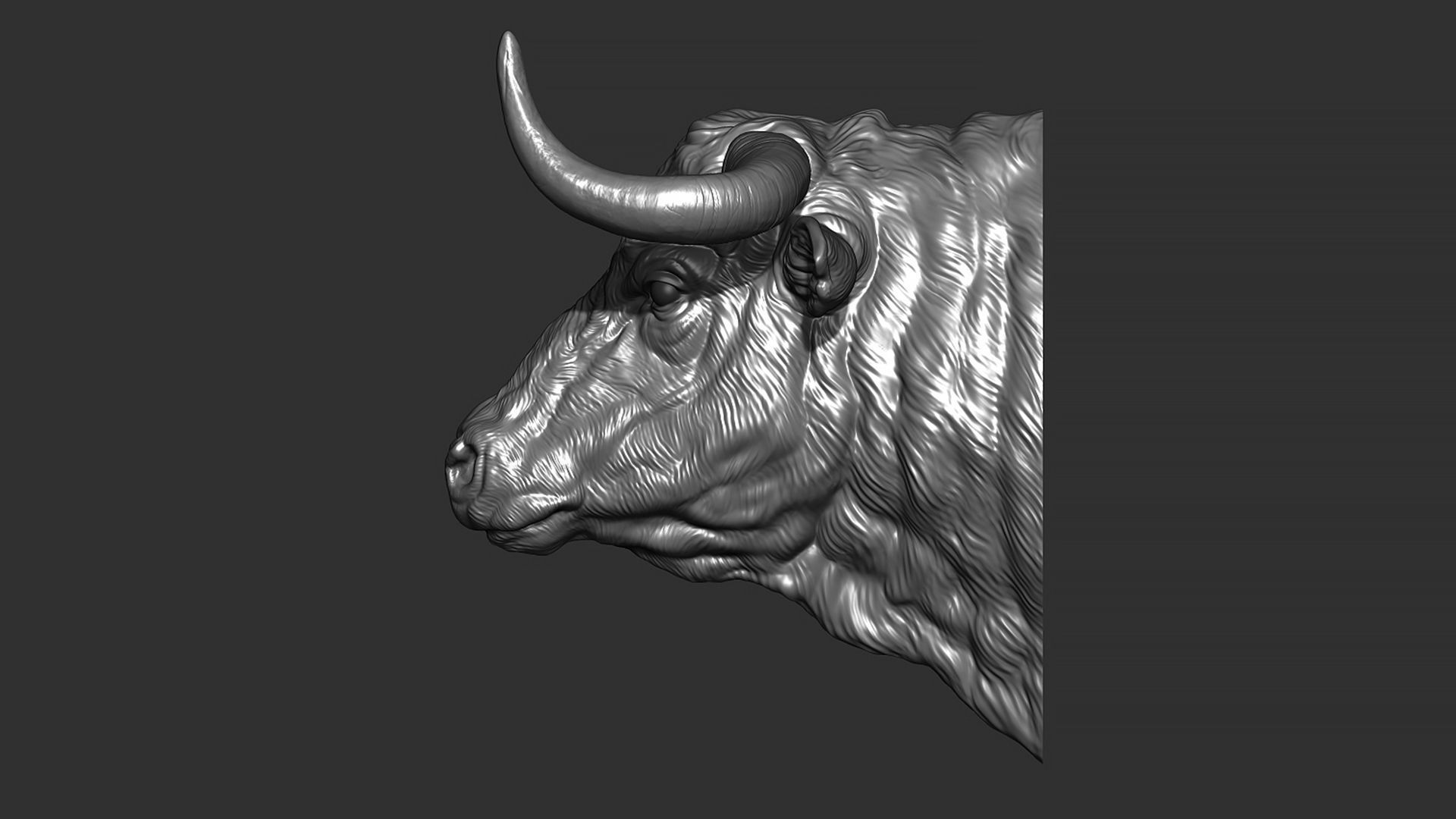 Bull head 3D model 3D printable | CGTrader