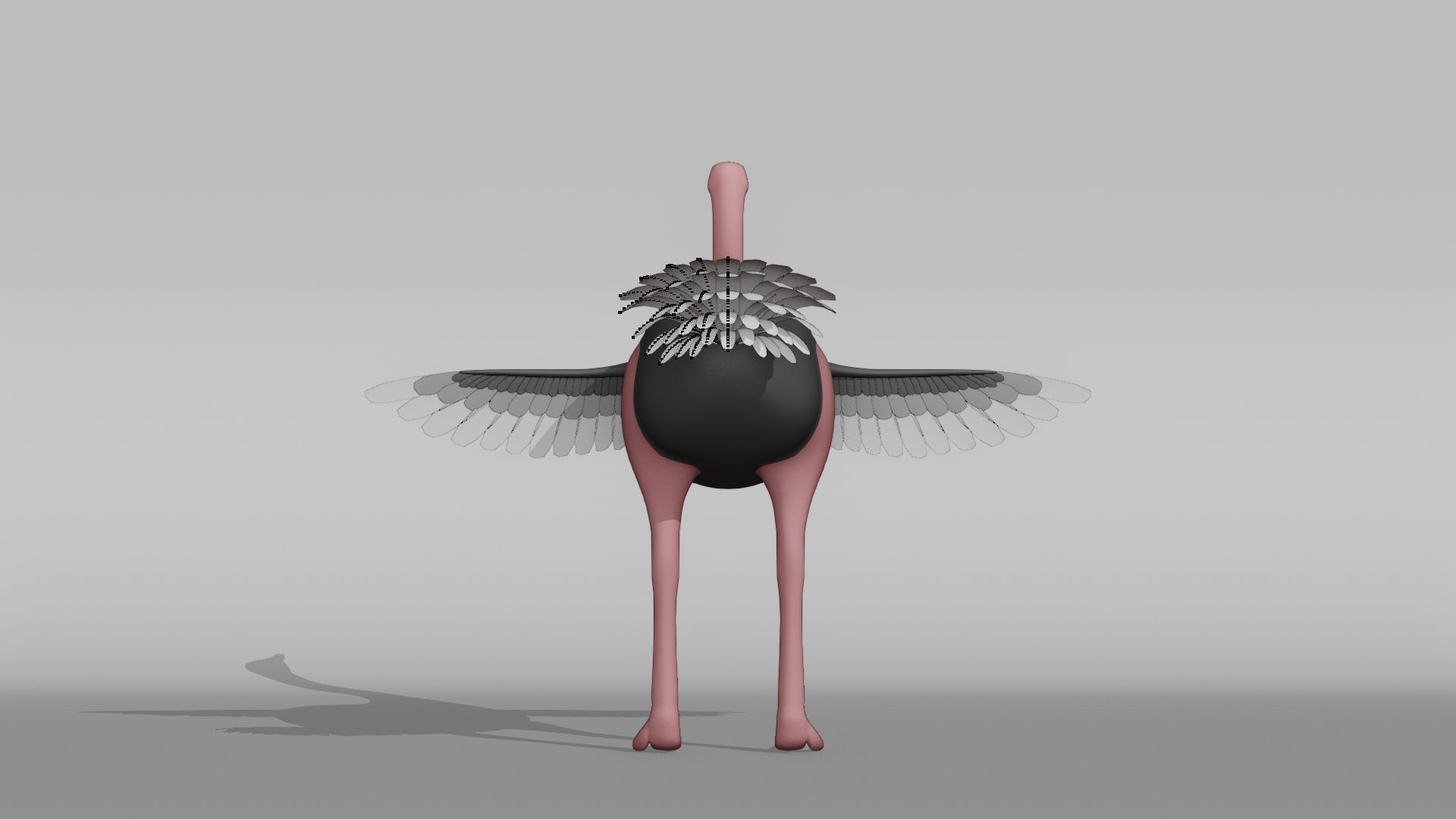 3D model Ostrich Base Mesh VR / AR / low-poly | CGTrader