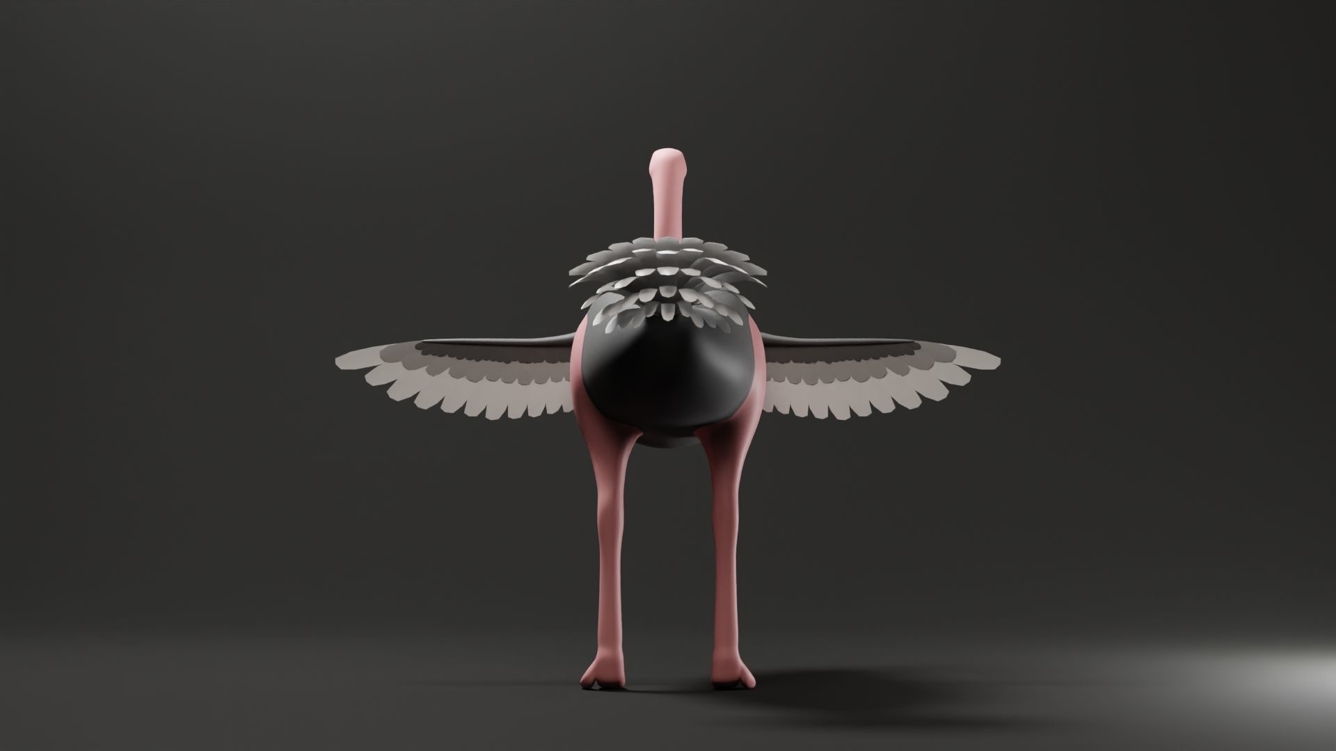 3D model Ostrich Base Mesh VR / AR / low-poly | CGTrader