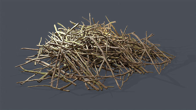 3D model Pile of branches VR / AR / low-poly | CGTrader