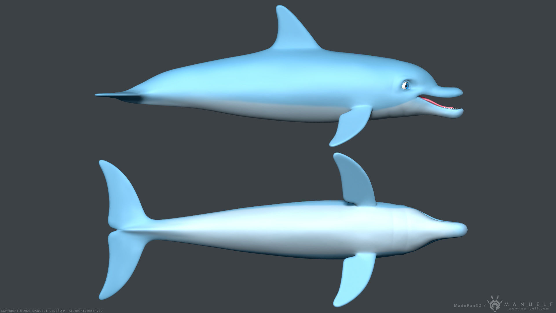 Stylized Cartoon Dolphin 3D model | CGTrader