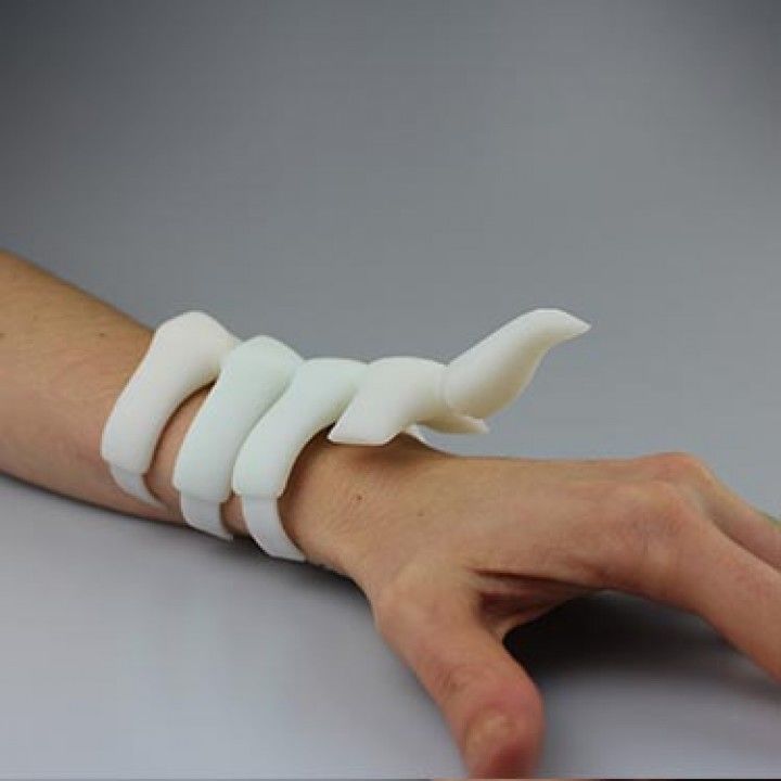 Bones Scorpion Bite 3D model 3D printable | CGTrader