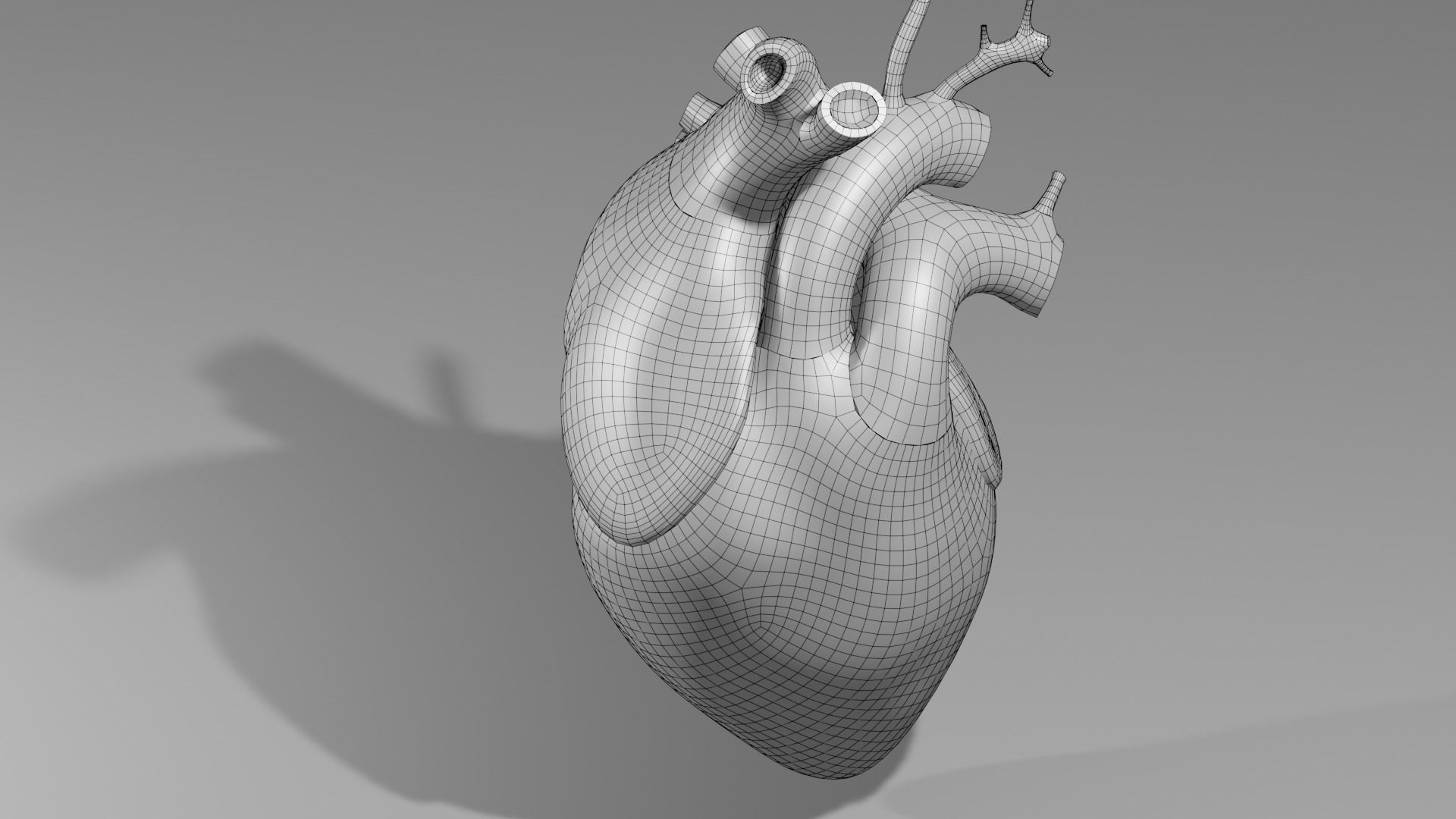 3D model Anatomical model of the human heart VR / AR / low-poly | CGTrader
