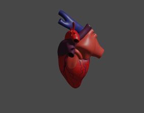Animated Hearth 3D Models | CGTrader