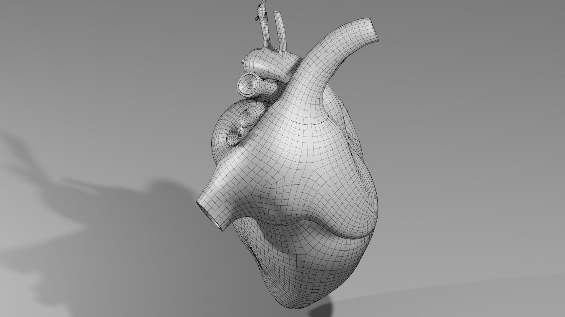 3D model Anatomical model of the human heart VR / AR / low-poly | CGTrader