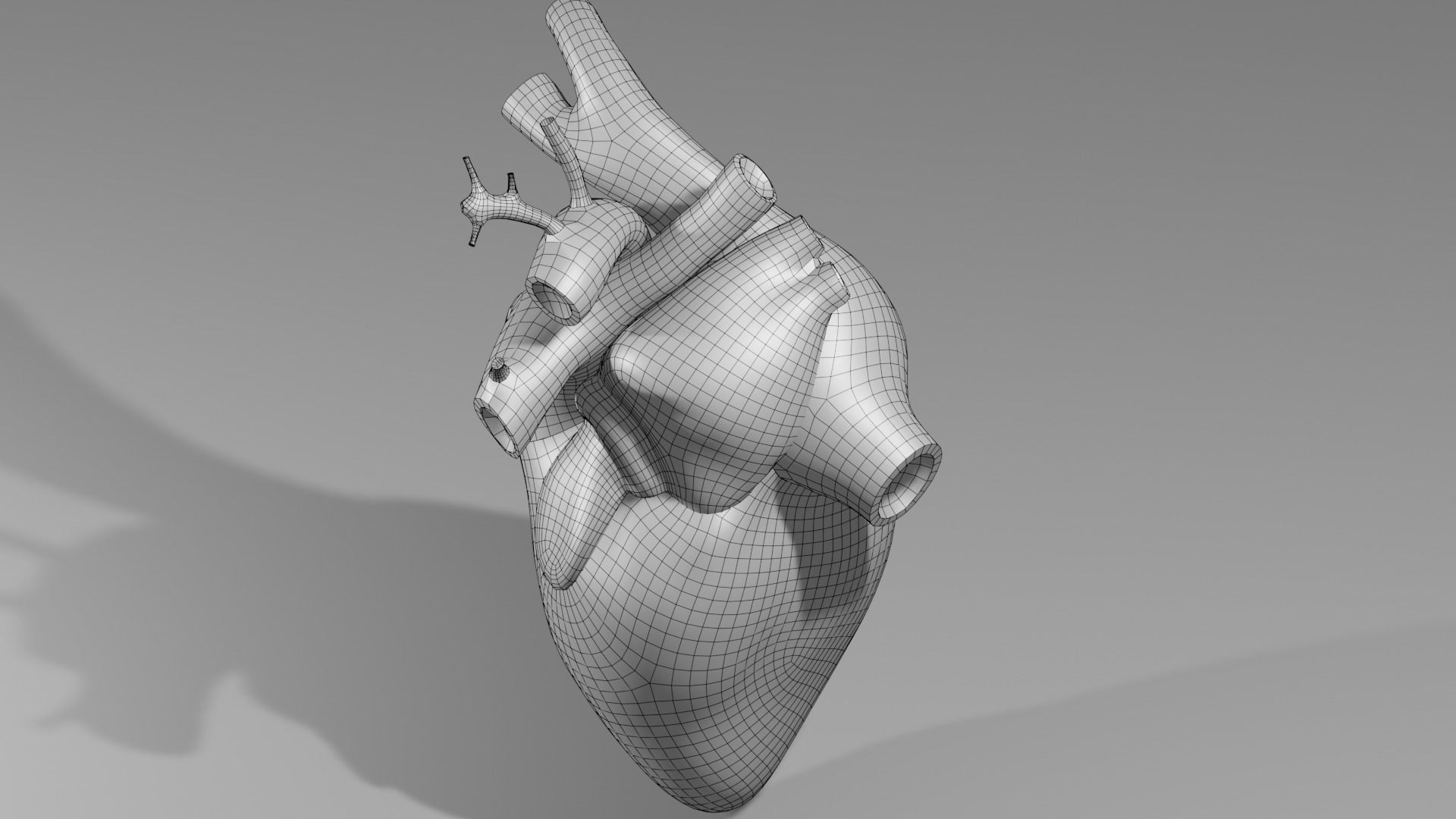 3D model Anatomical model of the human heart VR / AR / low-poly | CGTrader