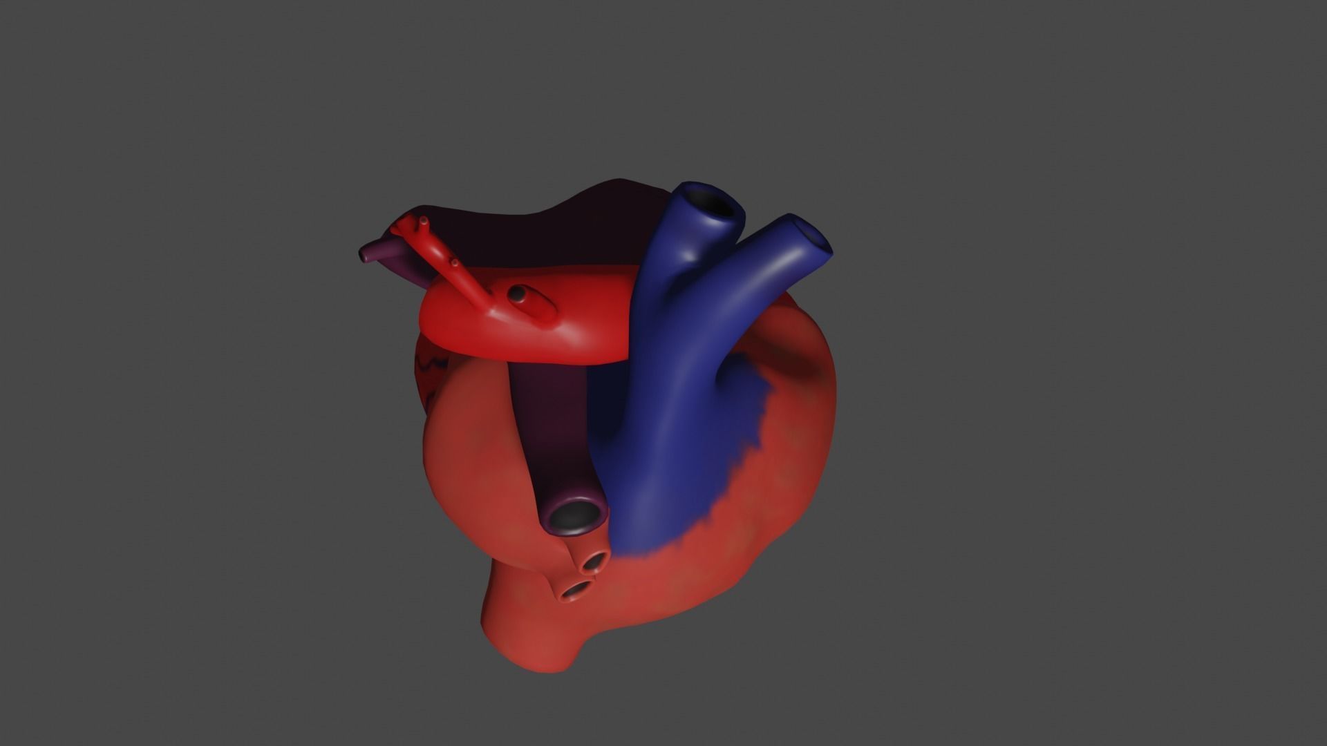 3D model Anatomical model of the human heart VR / AR / low-poly | CGTrader