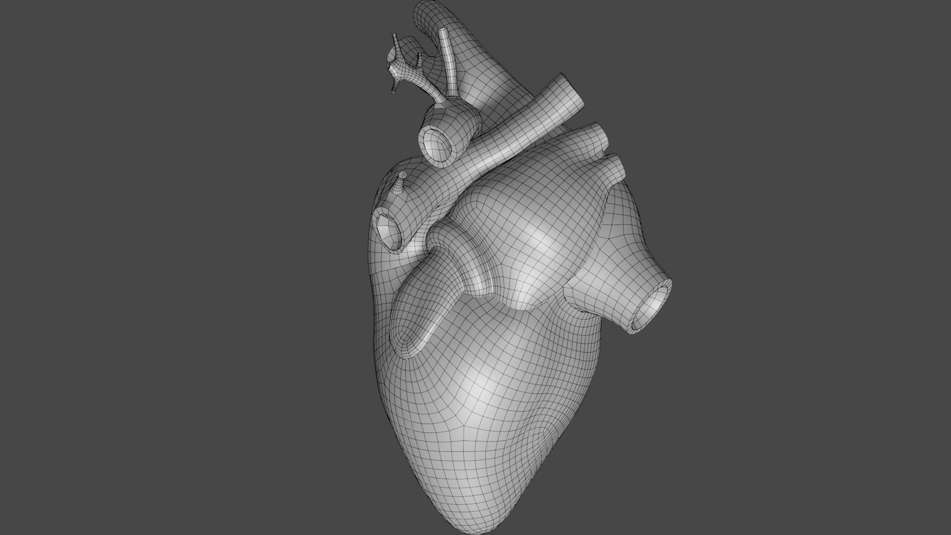 3D model Anatomical model of the human heart VR / AR / low-poly | CGTrader