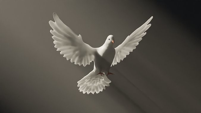 White dove 3D model | CGTrader