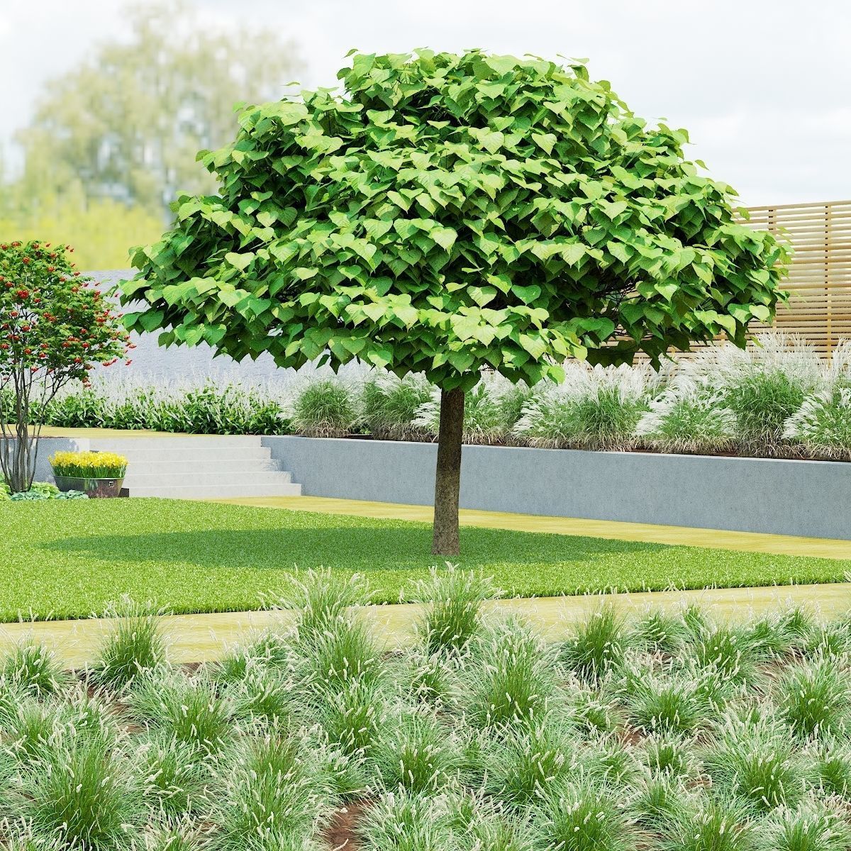 Catalpa bignonioides Nana 3D model | CGTrader