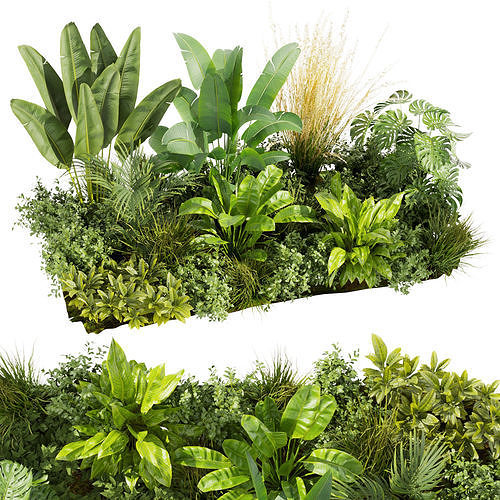 Collection plant vol 456 - indoor - garden - leaf 3D model | CGTrader