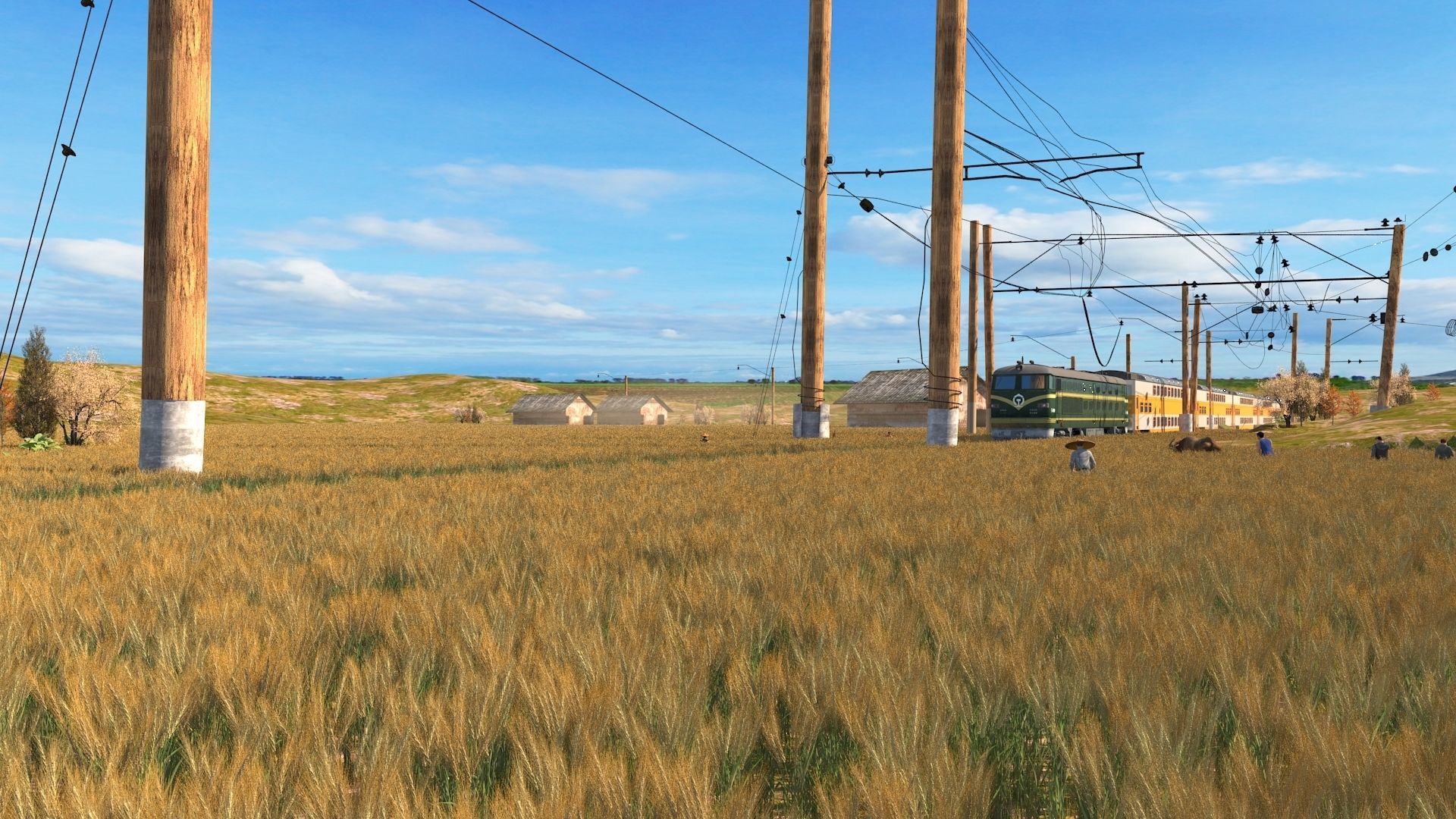 Train through rice fields 3D model animated rigged | CGTrader