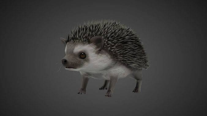 3D model Hedgehog Stylized Brown 3D Character VR / AR / low-poly | CGTrader