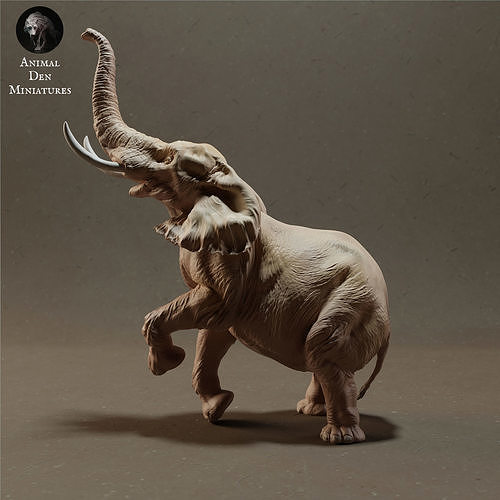 Real Miniature Elephant