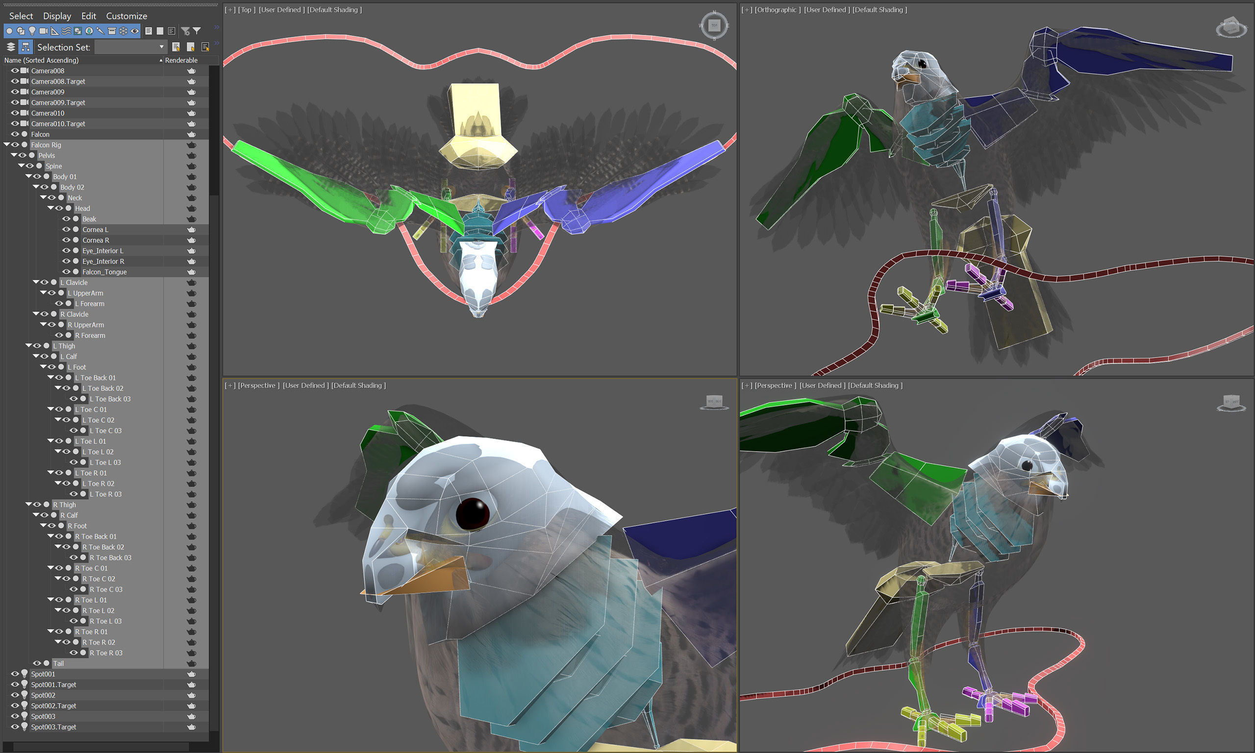 Animated Falcon 3D model animated rigged | CGTrader