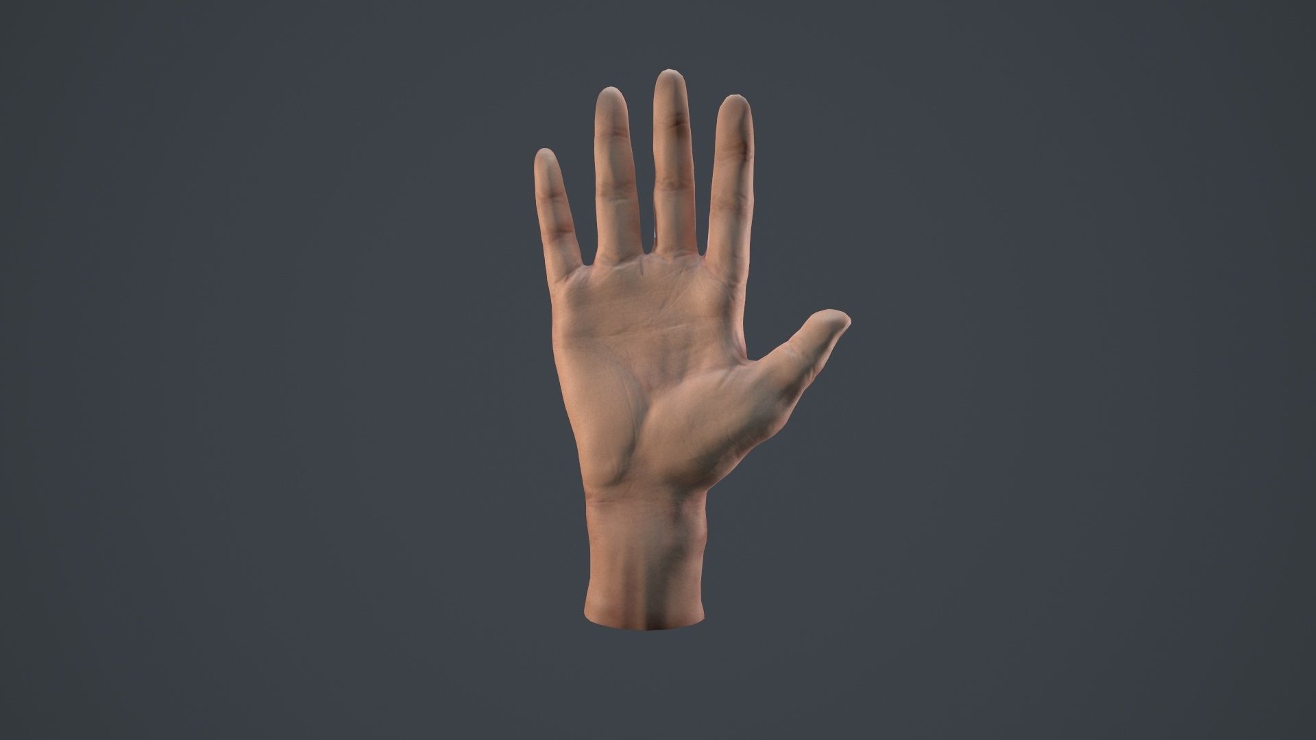 3D model Male Hand VR / AR / low-poly | CGTrader