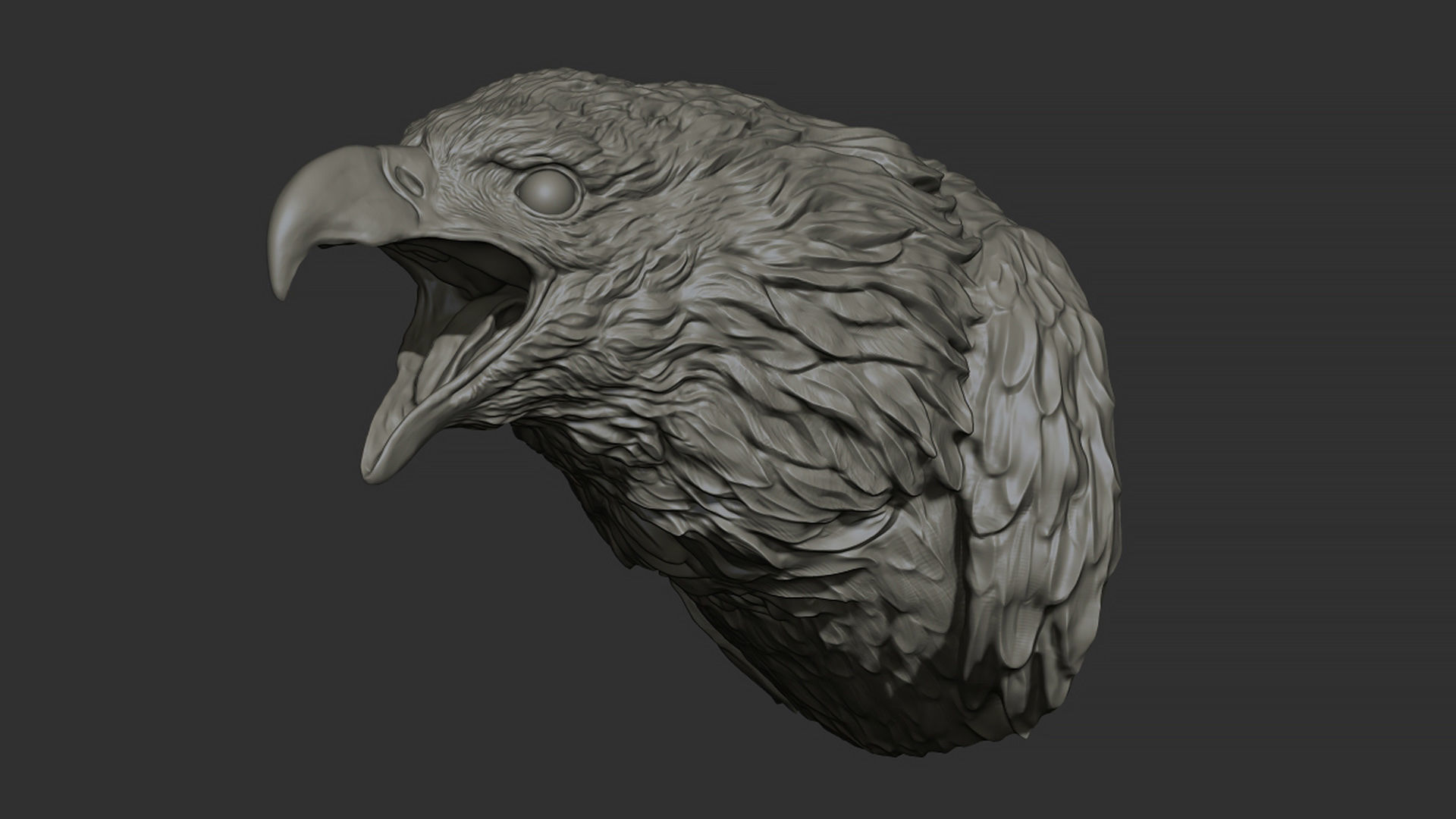 Bald Eagle head 3D model 3D printable | CGTrader