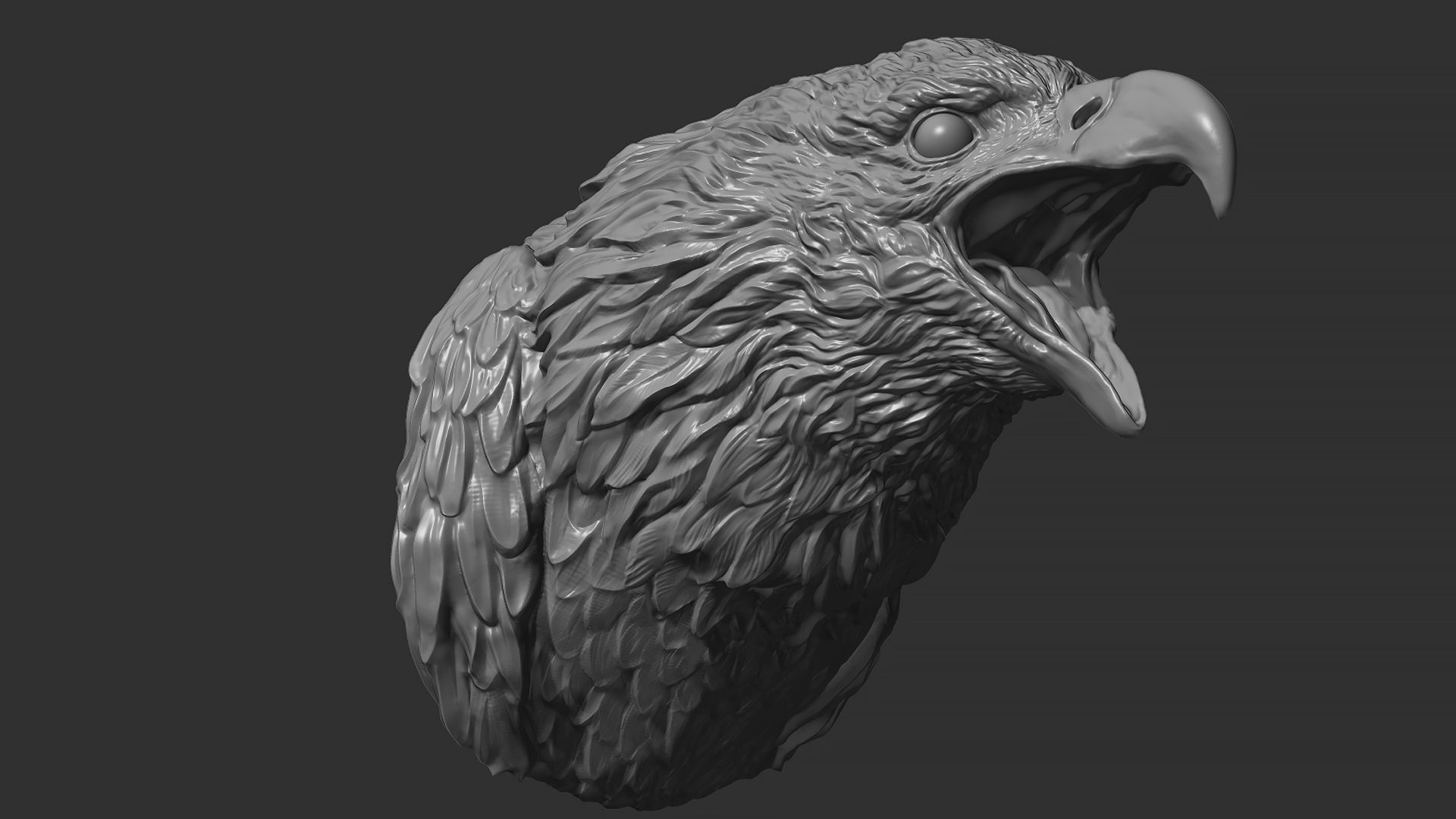 Bald Eagle head 3D model 3D printable | CGTrader