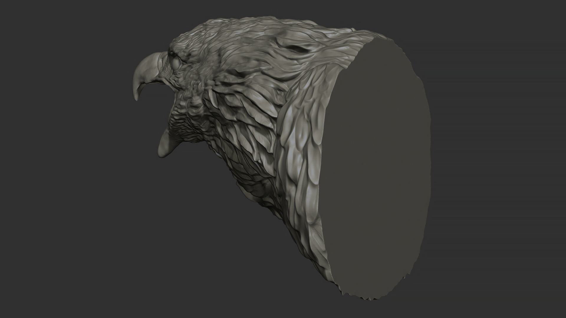 Bald Eagle head 3D model 3D printable | CGTrader