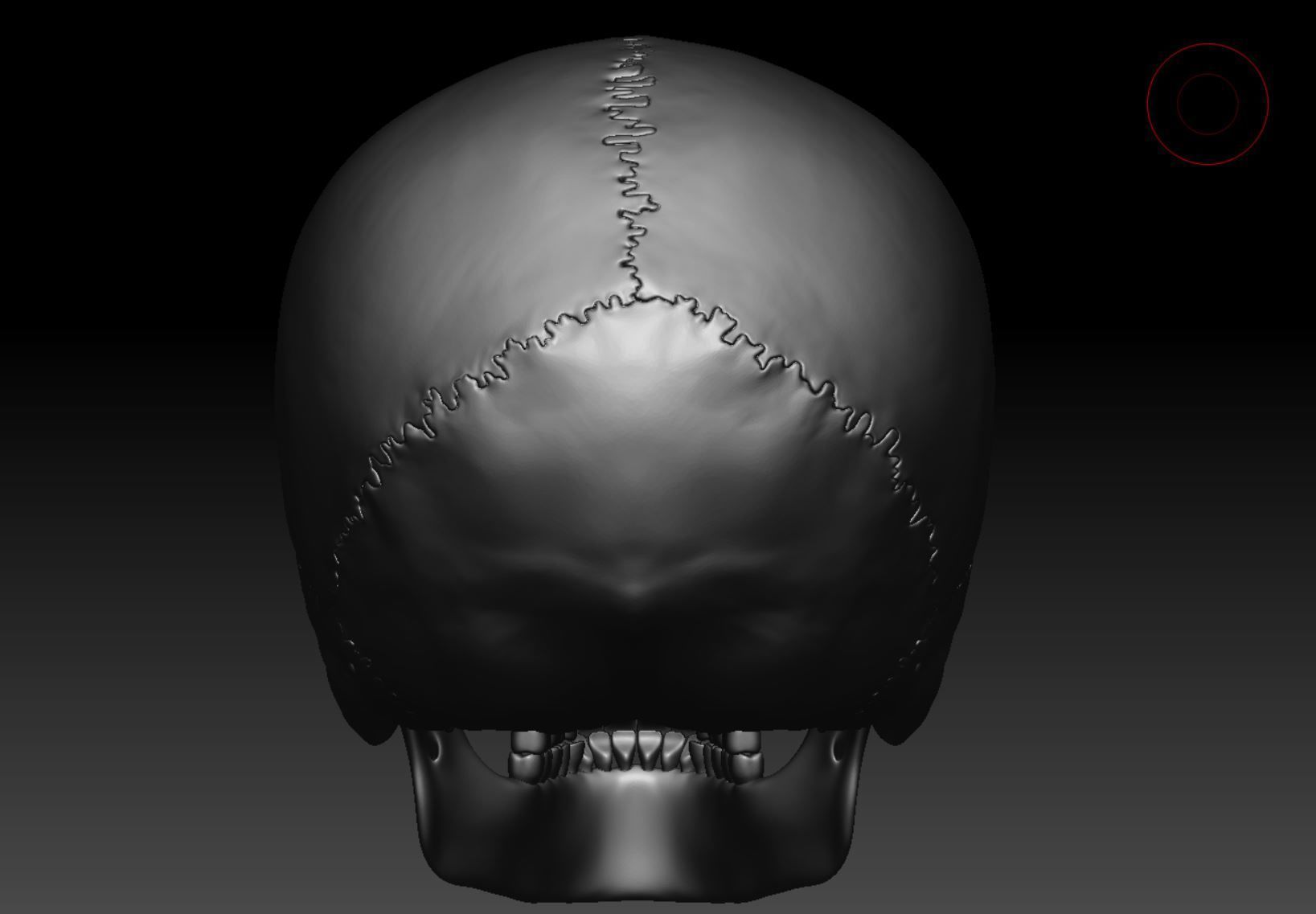Skull Bones - 3D Printing 3D model 3D printable | CGTrader
