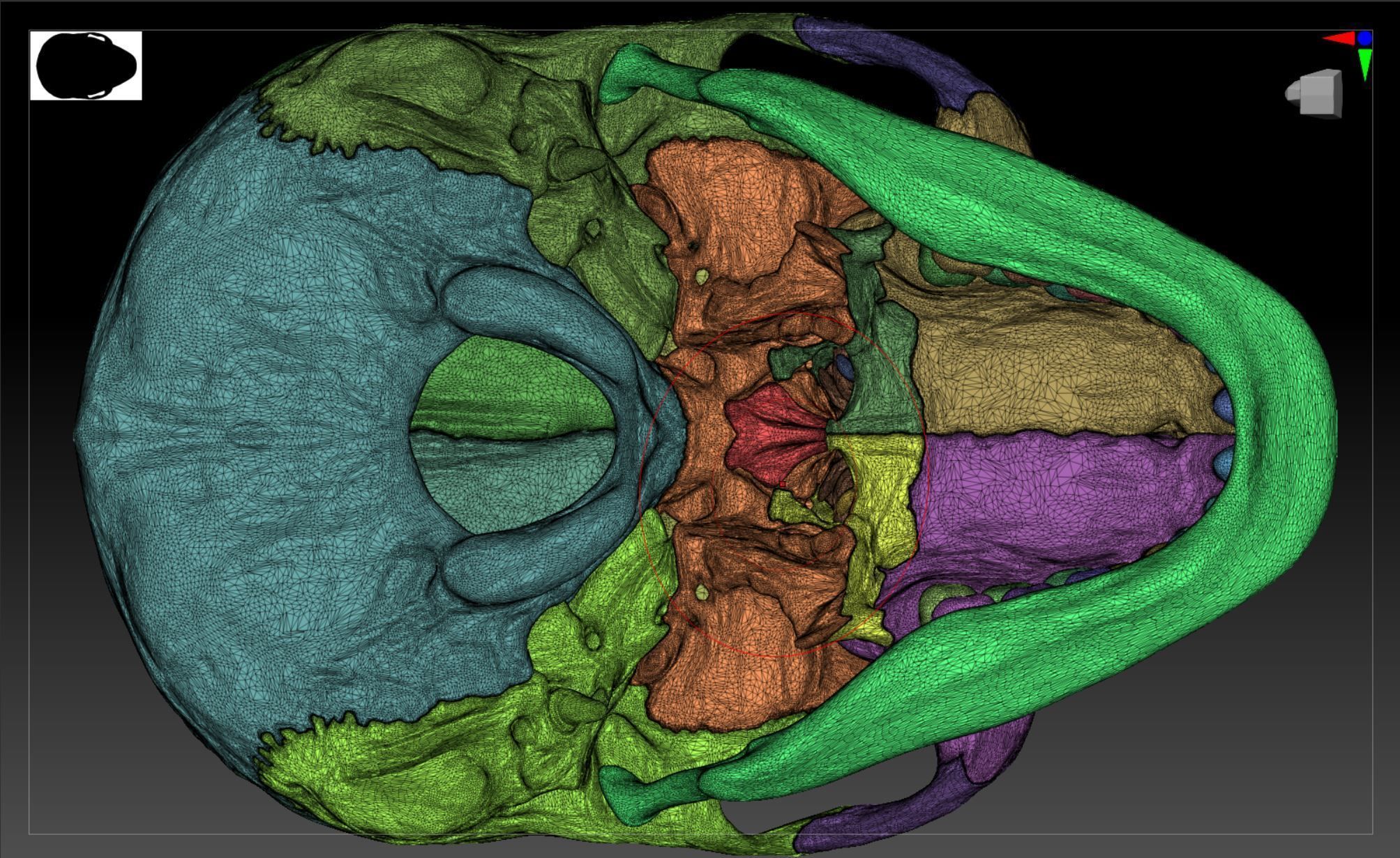 Skull Bones - 3D Printing 3D model 3D printable | CGTrader