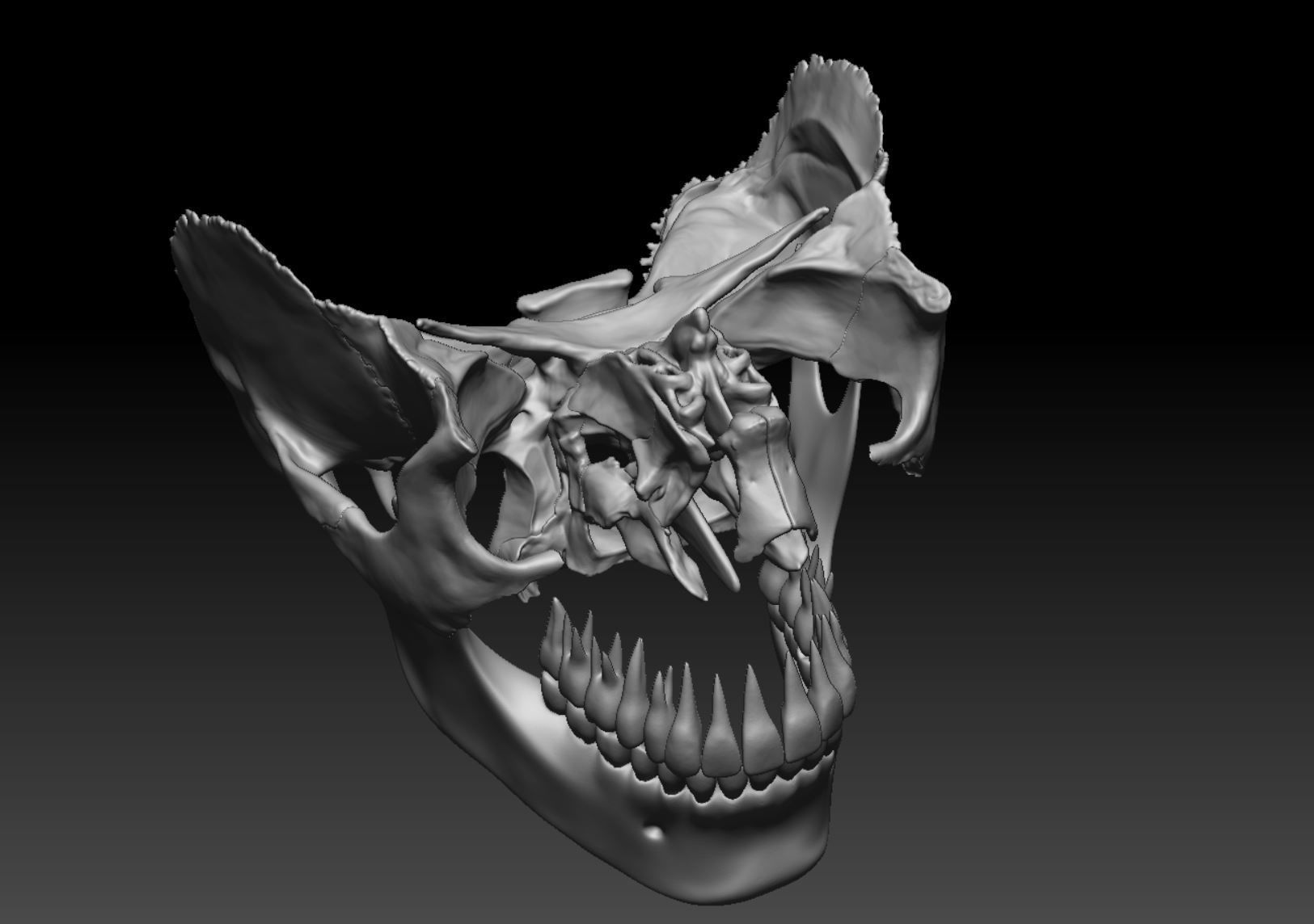 Skull Bones - 3D Printing 3D model 3D printable | CGTrader