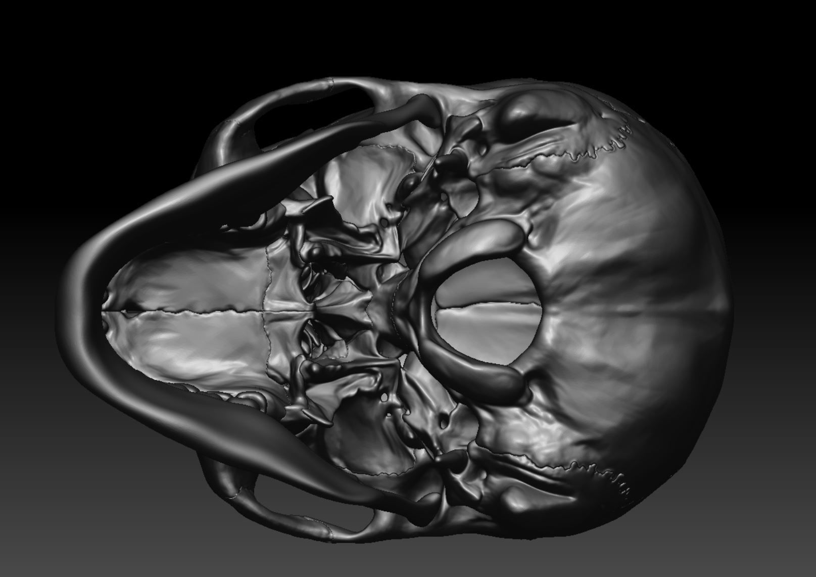 Skull Bones - 3D Printing 3D model 3D printable | CGTrader