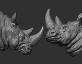 Rhino 3D Models | CGTrader