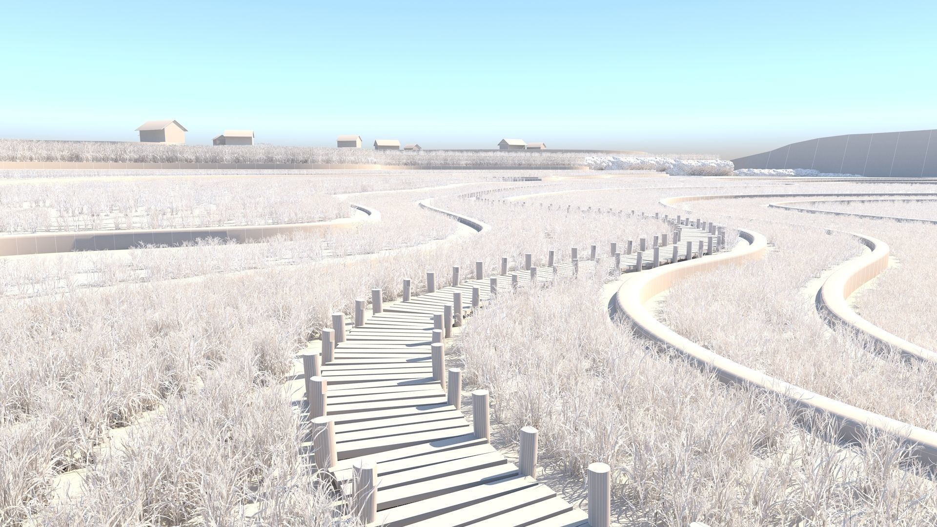 Paddy fields Rice wheat crops meter Terraced fields 3D model | CGTrader