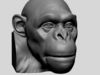 Chimp Head Printable 3D model 3D printable | CGTrader
