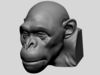 Chimp Head Printable 3D model 3D printable | CGTrader