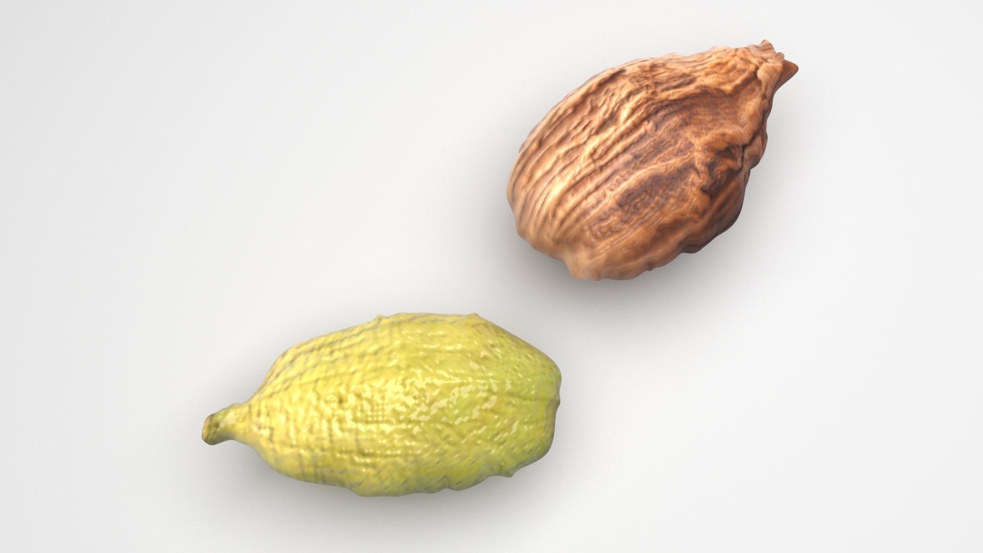 Green and Brown Cardamom 3D model | CGTrader