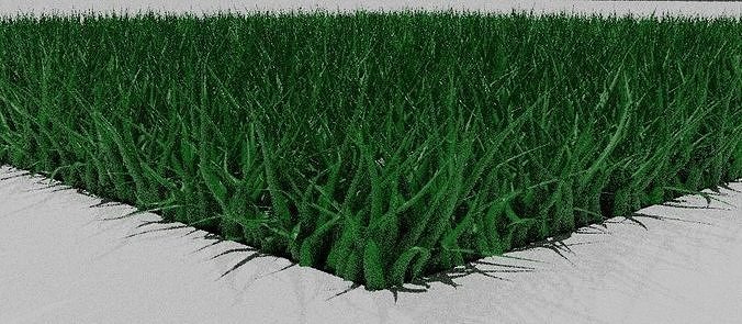 3D model Grass VR / AR / low-poly | CGTrader