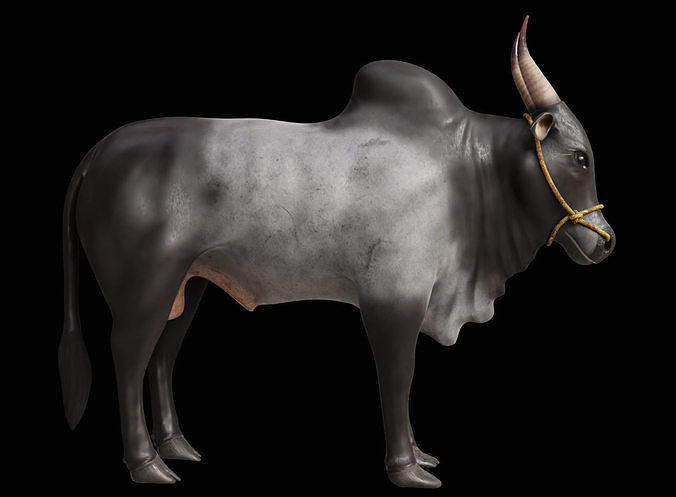 Kangayam Kalai Clipart School