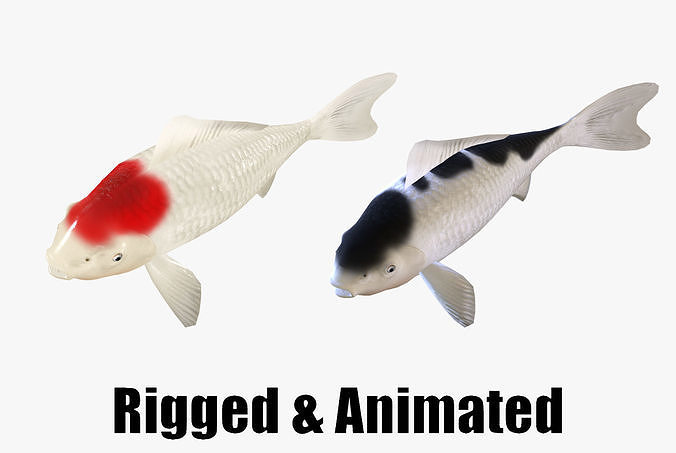 3D model animated carp fish koi VR / AR / low-poly | CGTrader