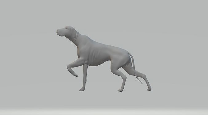English Pointer 3D model 3D printable | CGTrader