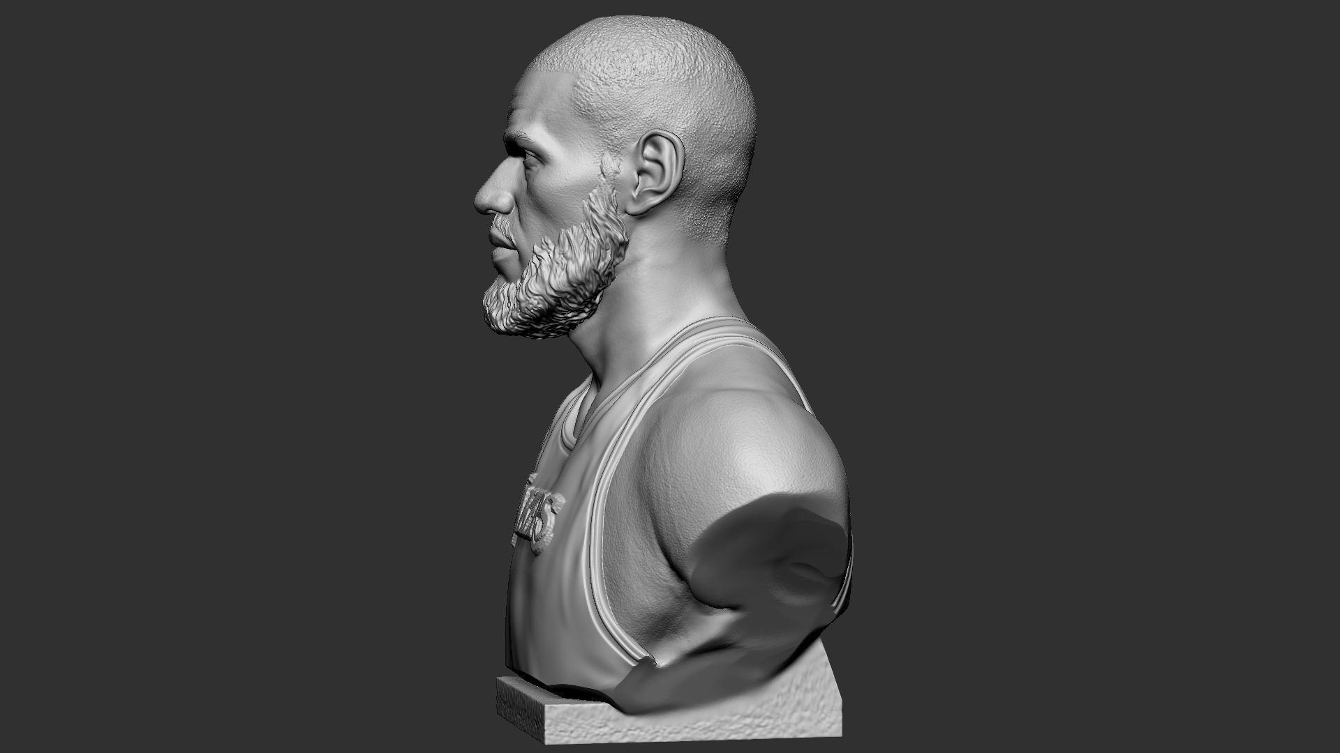 Lebron James 3D model 3D printable | CGTrader