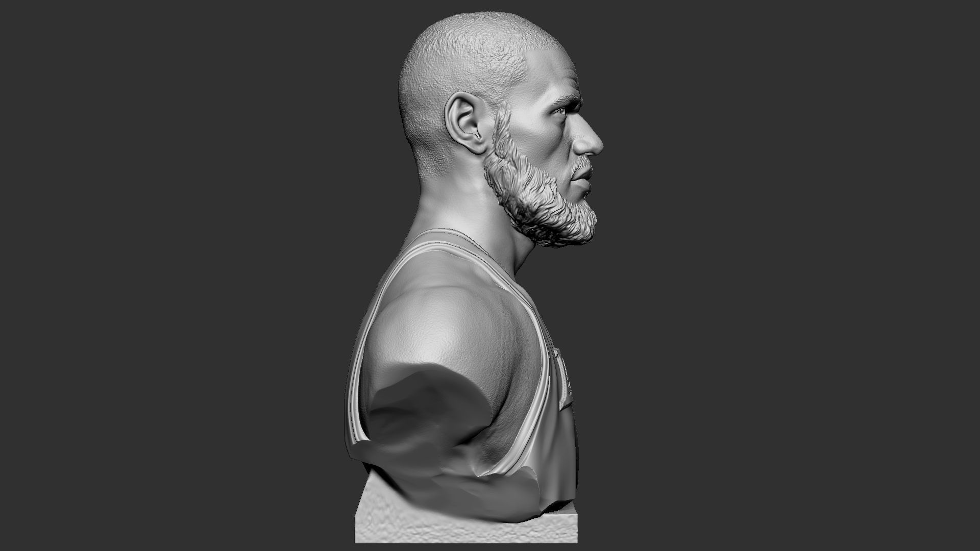 Lebron James 3D model 3D printable | CGTrader