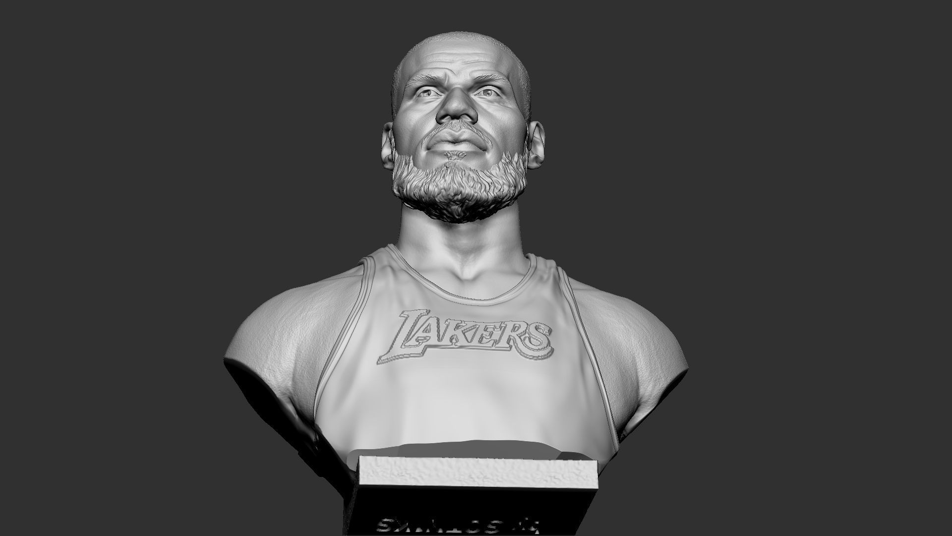 Lebron James 3D model 3D printable | CGTrader