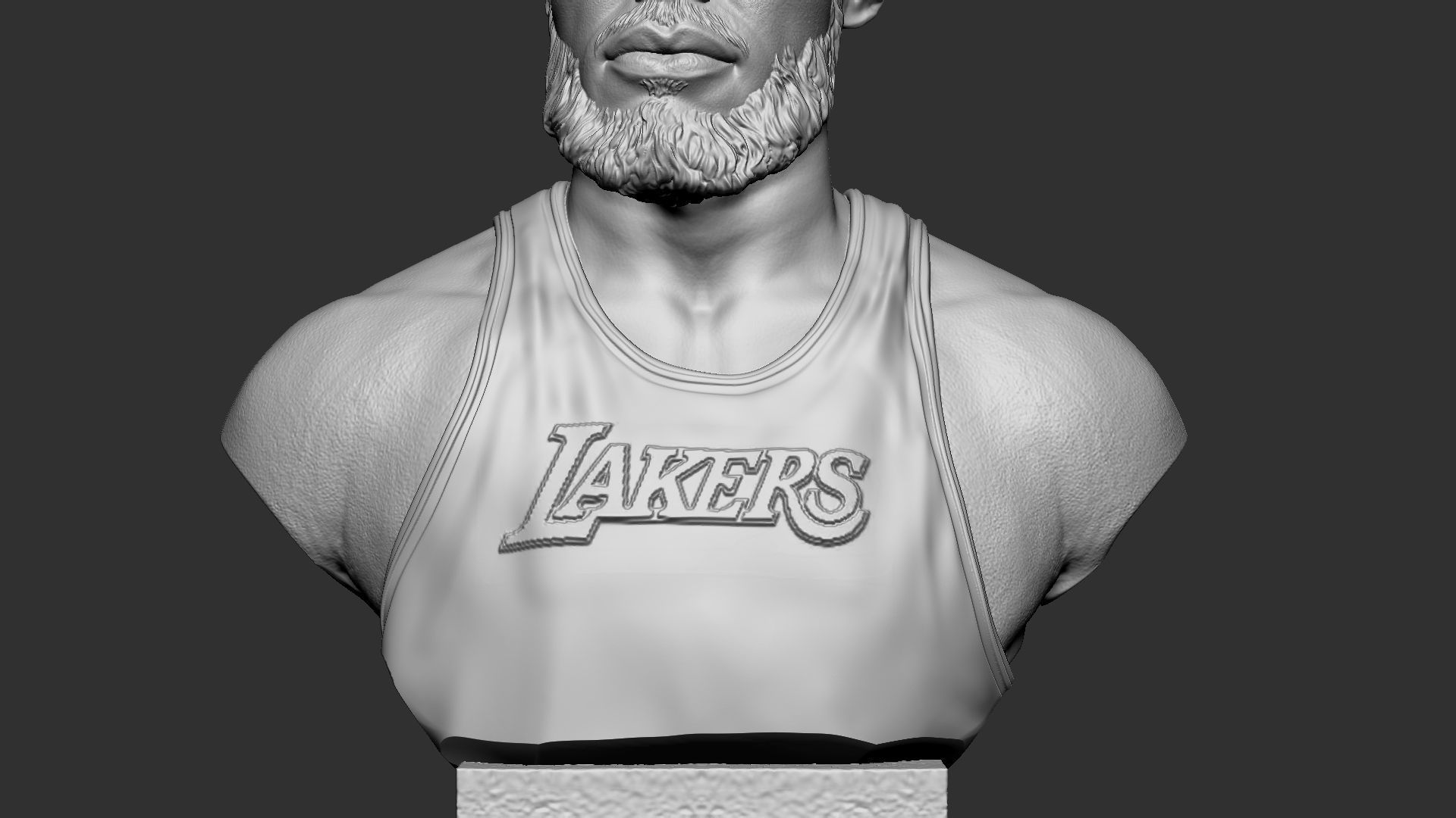 Lebron James 3D model 3D printable | CGTrader