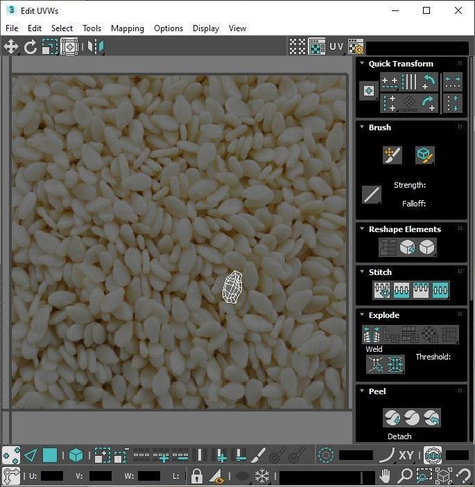 Sesame Seeds 3D model | CGTrader
