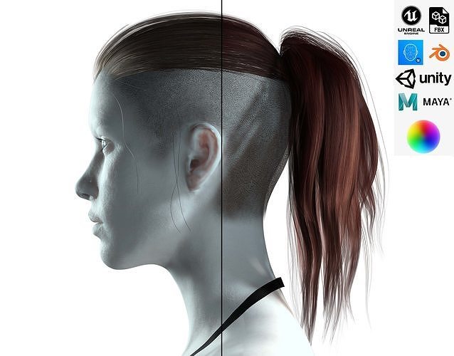 3D model Realistic Female hair tail VR / AR / low-poly | CGTrader