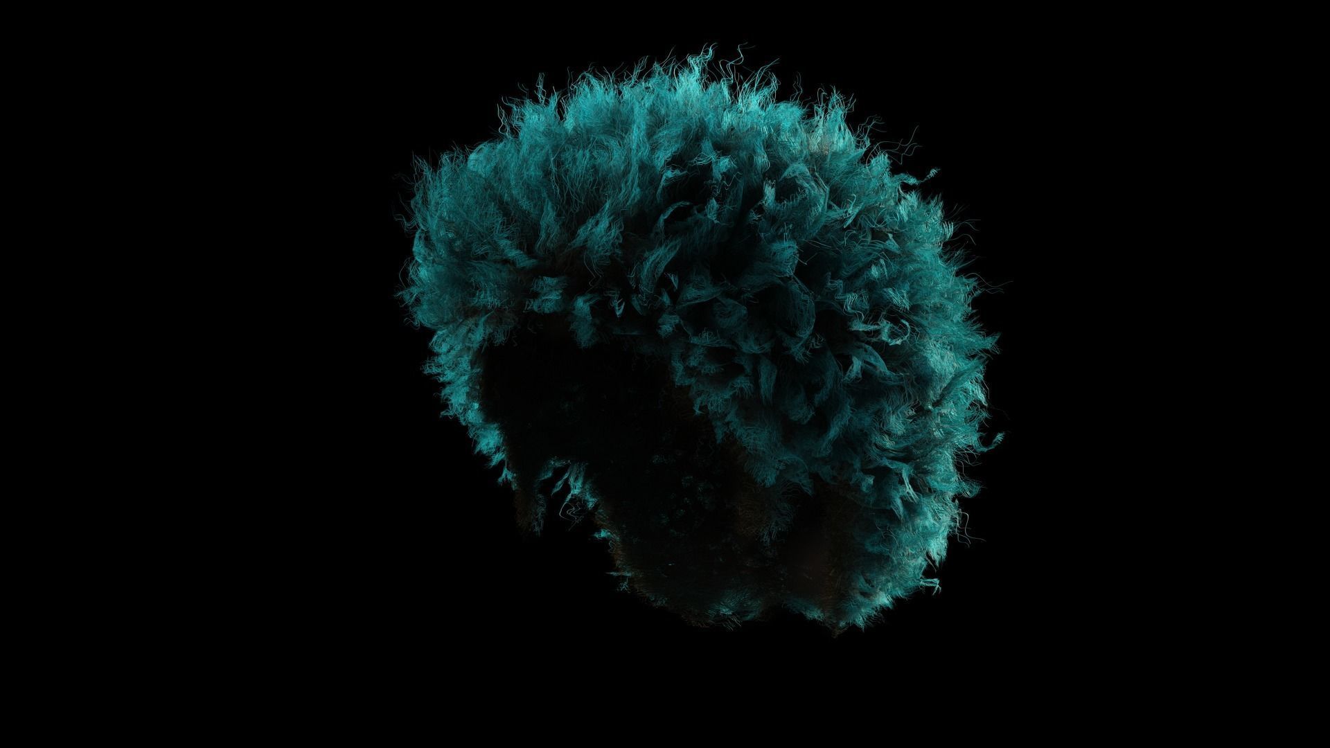 3D model Realistic Hair afro VR / AR / low-poly | CGTrader