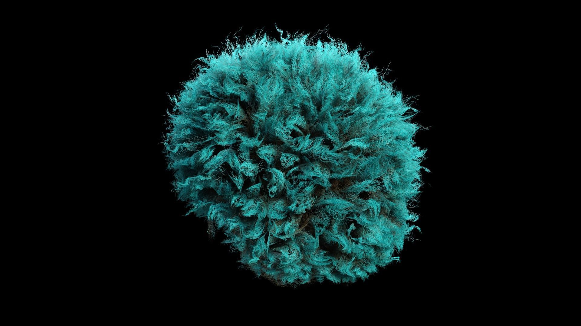 3D model Realistic Hair afro VR / AR / low-poly | CGTrader