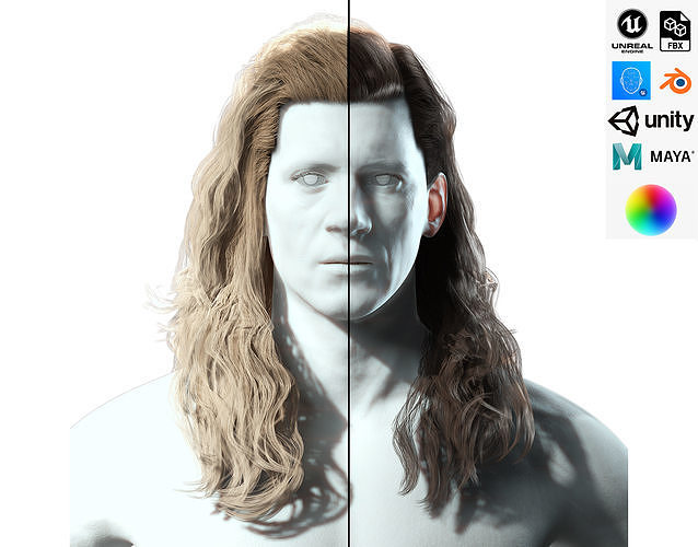 3D model Realistic Long Hair Man VR / AR / low-poly | CGTrader