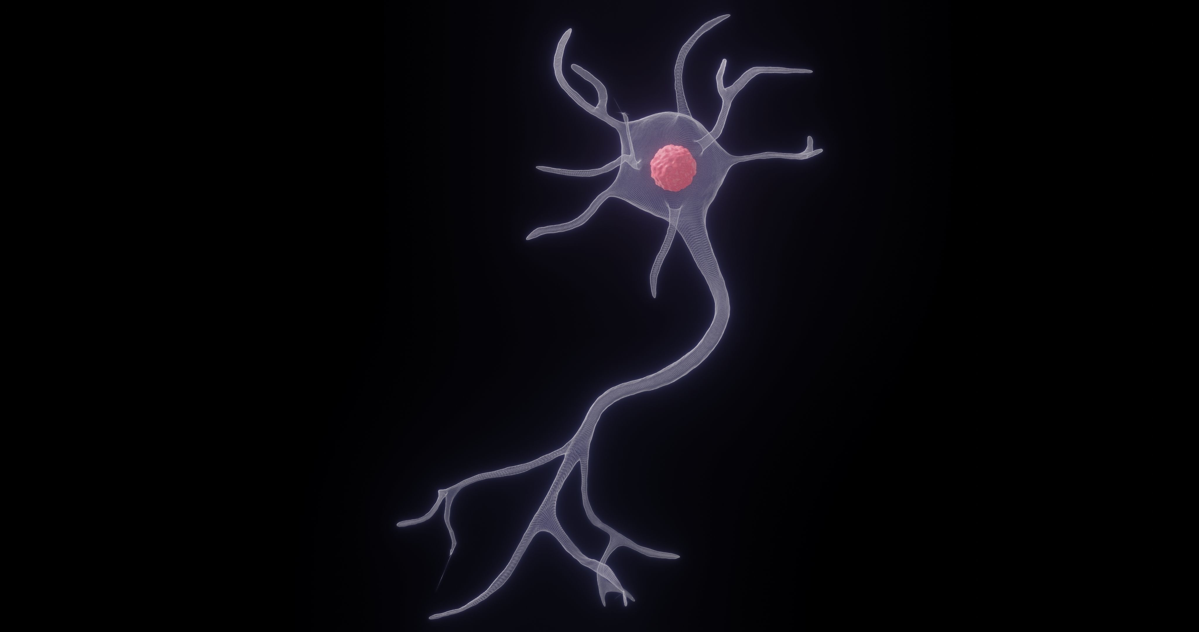 Multipolar Neuron 3D model | CGTrader