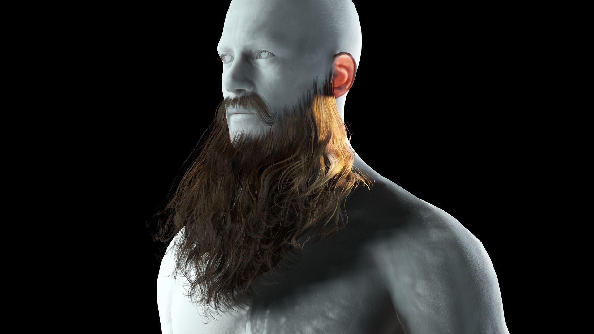 3D model Realistic Full Beard VR / AR / low-poly | CGTrader