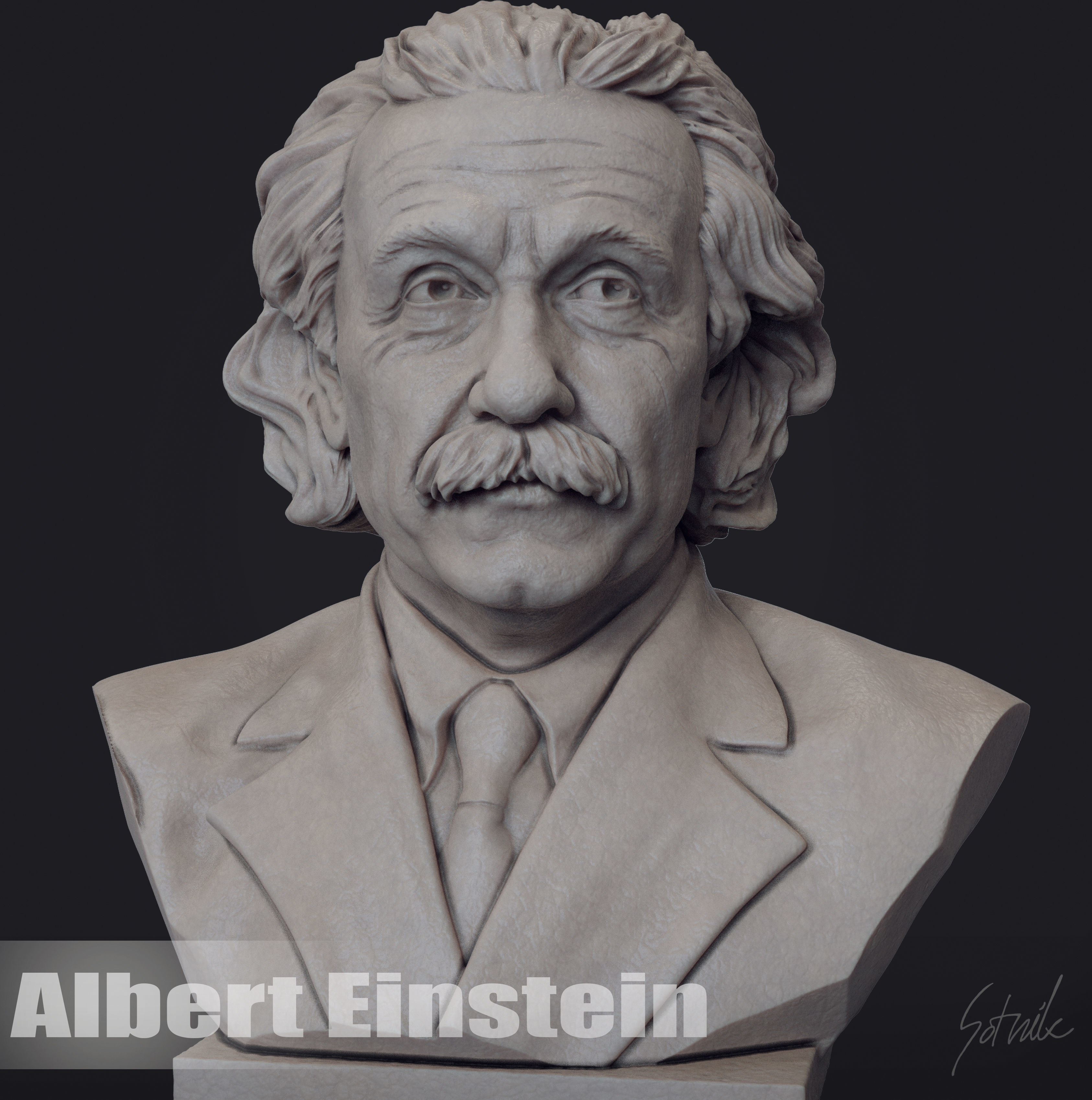 Albert Einstein 3D model 3D printable | CGTrader