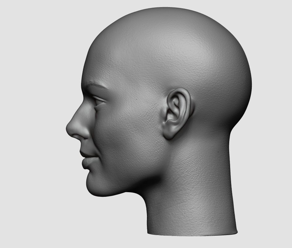 Harley Quinn 3D printable head bold head 3D model 3D printable | CGTrader