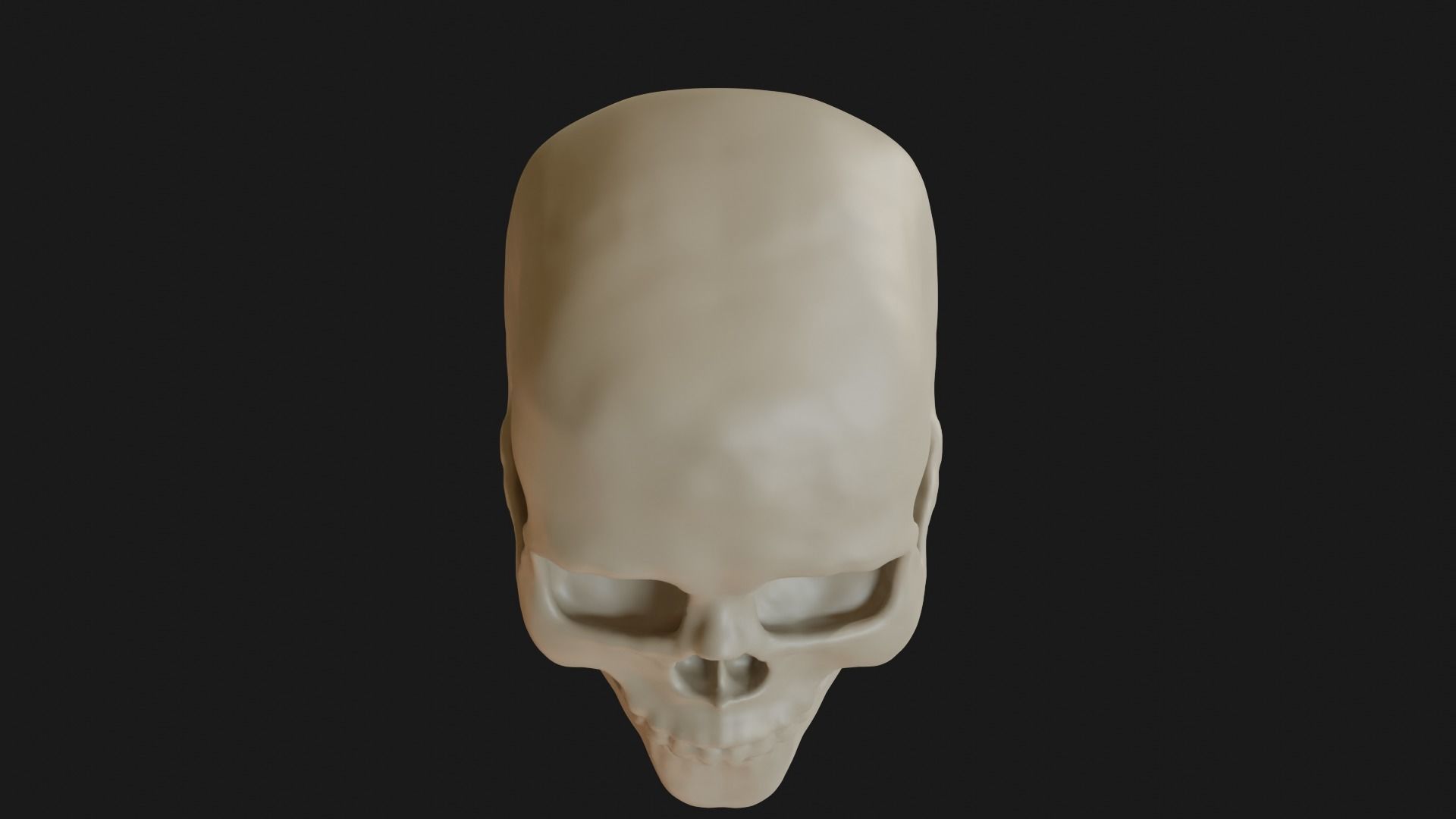 Female human skull 3D model | CGTrader